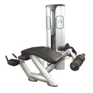 FREE MOTION OLD EPIC - Leg Curl | GYMNEX