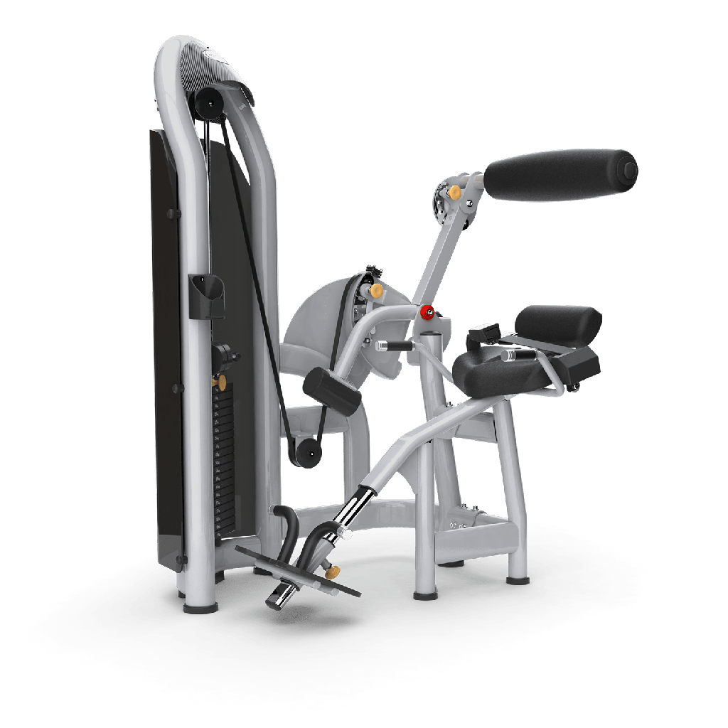 MATRIX Aura Back Extension | GYMNEX